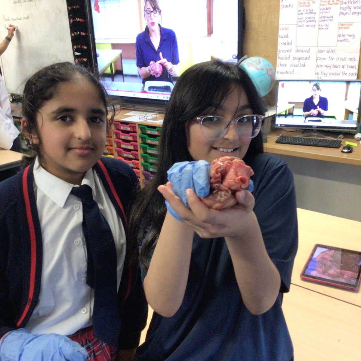 St Mary's and St Joseph's Roman Catholic Primary School - Year 6 heart ...